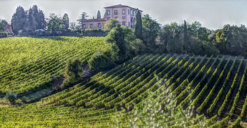 From Florence: PRIVATE Wine Experience in Chianti Classico - An In-Depth Look into the Chianti Private Wine Tour