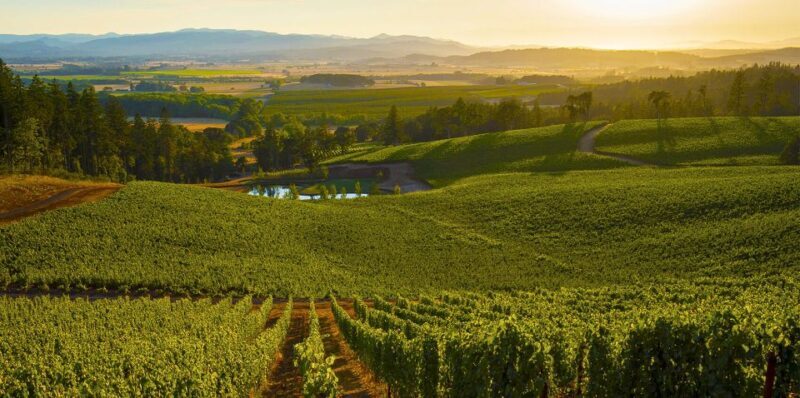 From Florence: PRIVATE Wine Experience in Chianti Classico - Practical Tips for Tour Participants