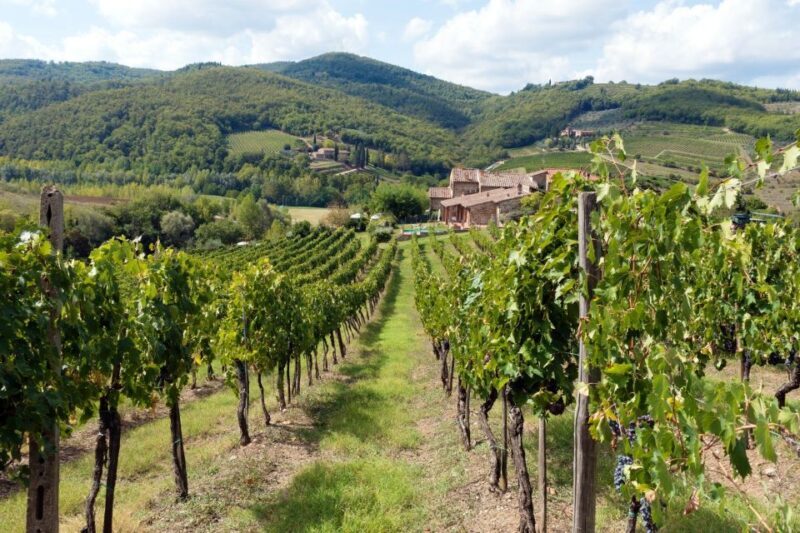 From Florence: Private Wine Tasting Tour in Chianti - Unpacking the Private Wine Tasting Tour in Chianti: A Genuine Tuscan Experience