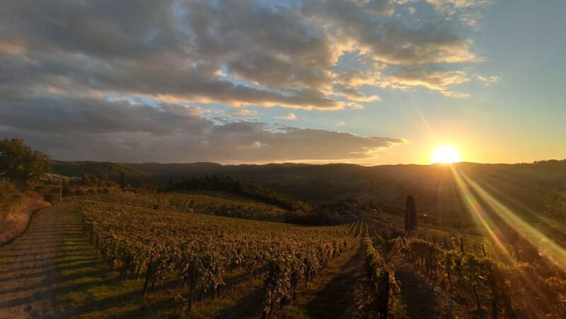 From Florence: Private Wine Tasting Tour in Chianti - Exploring the Wineries: What You’ll Experience