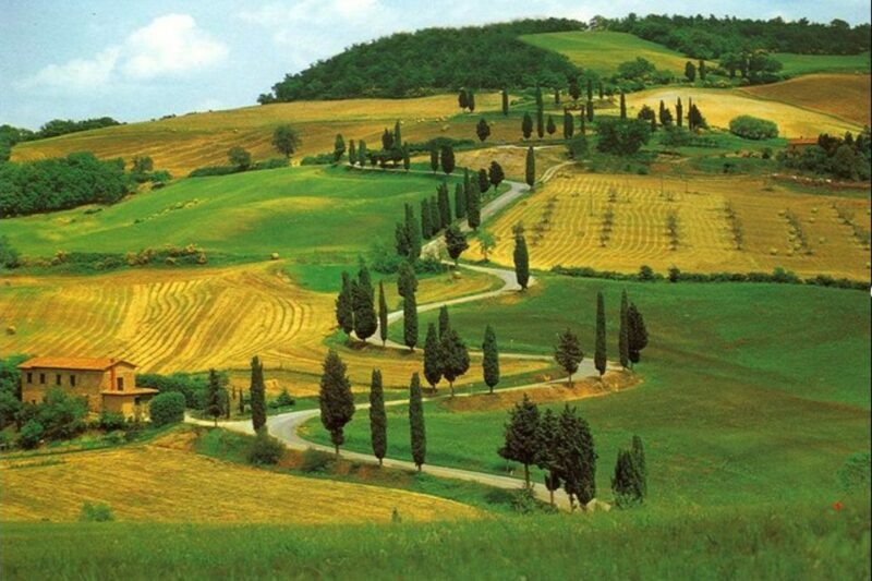 From Florence: Private Wine Tasting Tour in Chianti - Whats Included and How It Adds Value