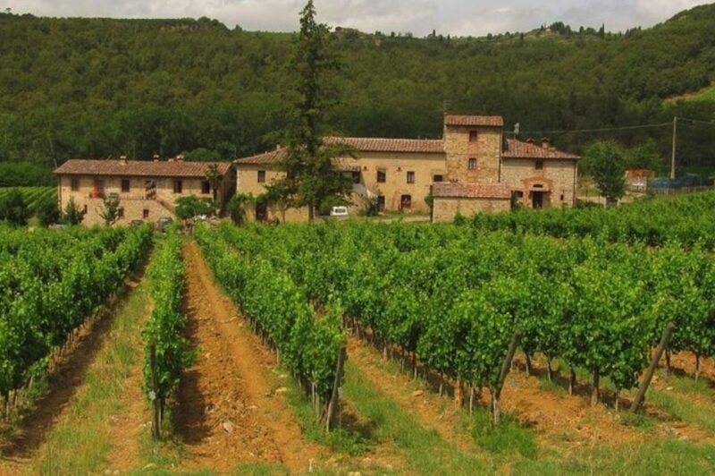 From Florence: Private Wine Tasting Tour in Chianti - Practical Details and Tips