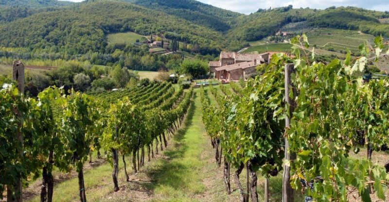 From Florence: Private Wine Tasting Tour in Chianti - Authenticity and Authentic Experiences