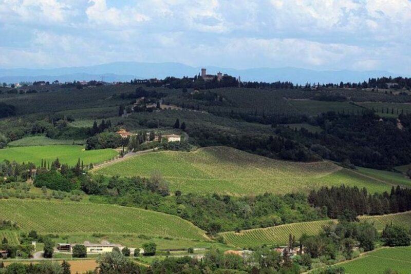 From Florence: Private Wine Tasting Tour in Chianti - Who This Tour Is Best For