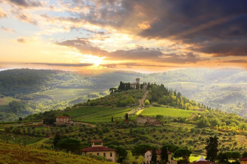 From Florence: Private Wine Tour with Dinner on an Estate - Key Points