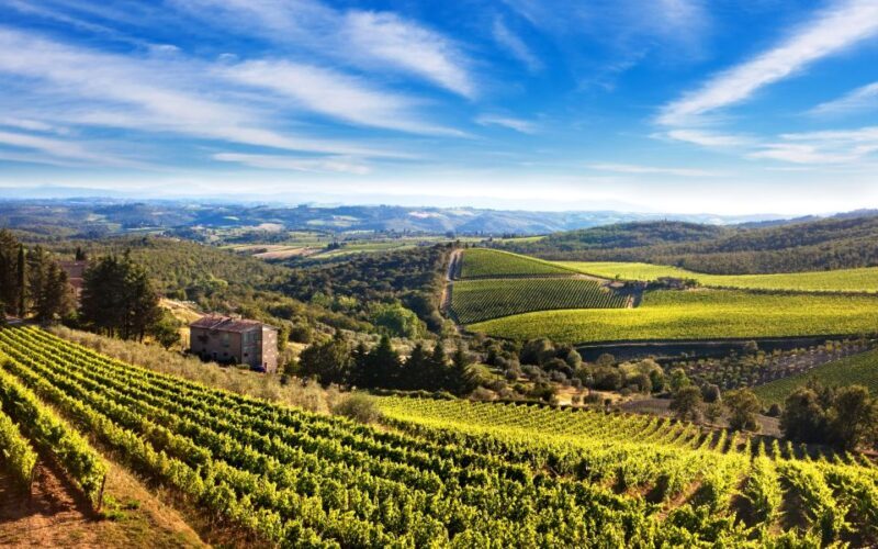 From Florence: Private Wine Tour with Dinner on an Estate - Practicalities and Value