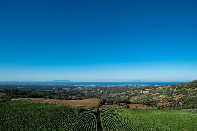 From Florence PRIVATE:Bolgheri Wine Tour,tasting among the Tuscany coastal hills - A Closer Look at the Itinerary and Experience