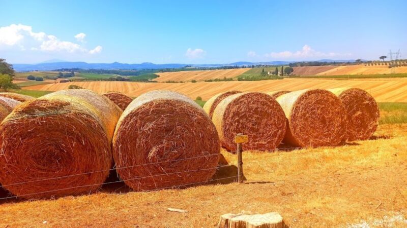 From Florence: "Ramble through the hills of Chanti" - An Authentic Tuscan Day in the Hills: Our Full Review