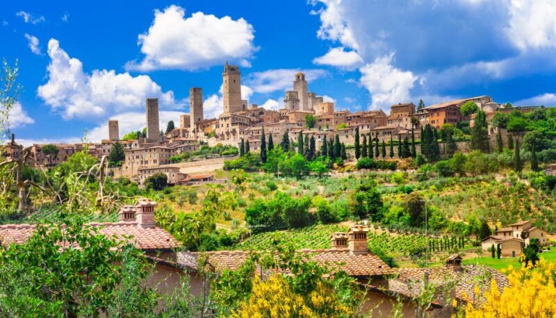 From Florence: Semi Private Deep Wine Chianti San Gimignano - The Wine Experience: From Cellars to Tastings