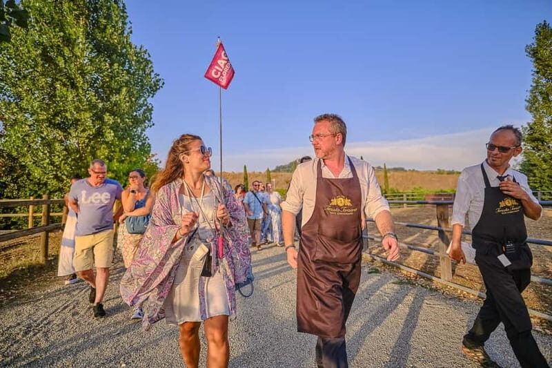 From Florence: Siena and Chianti Day Trip with Dinner - An Overview of the Itinerary and What Youll Experience
