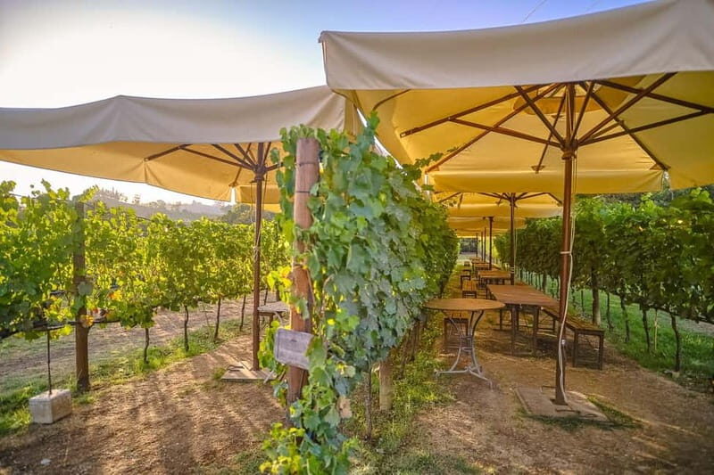 From Florence: Siena and Chianti Day Trip with Dinner - Final Thoughts