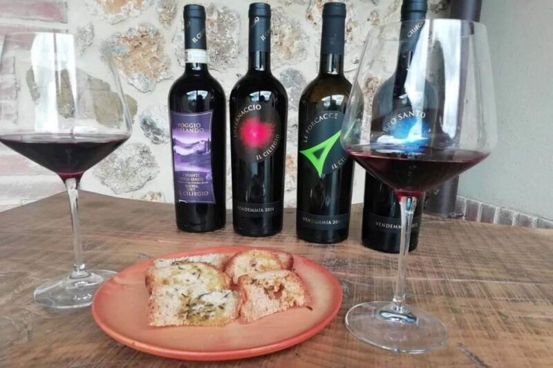 From Florence: Siena & San Gimignano Tour with Chianti Views - Practical Details