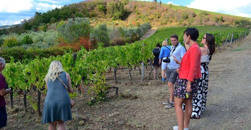 From Florence: Small-Group Chianti Wine Tour - Key Points