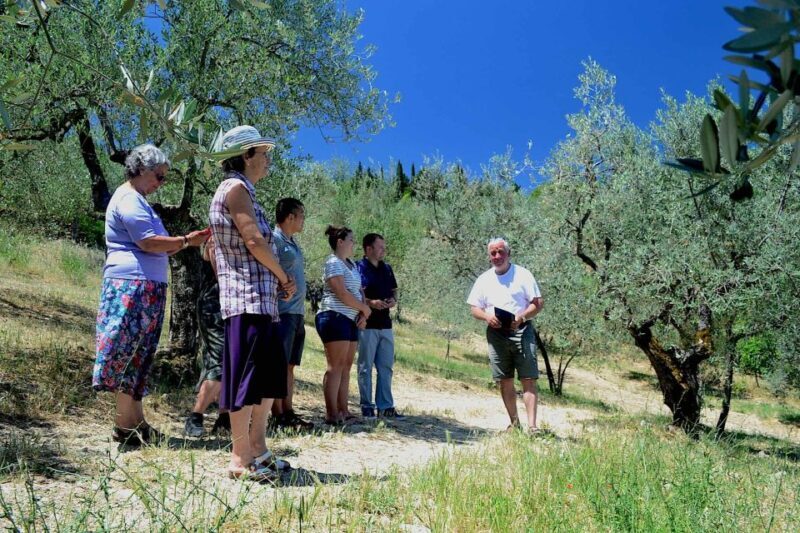 From Florence: Small-Group Chianti Wine Tour - Frequently Asked Questions (FAQ)