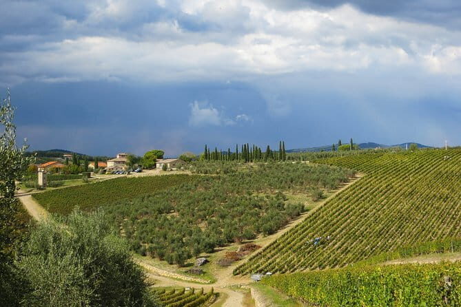 From Florence to Siena - San Gimignano & Pisa by private minivan - Price and Value Breakdown