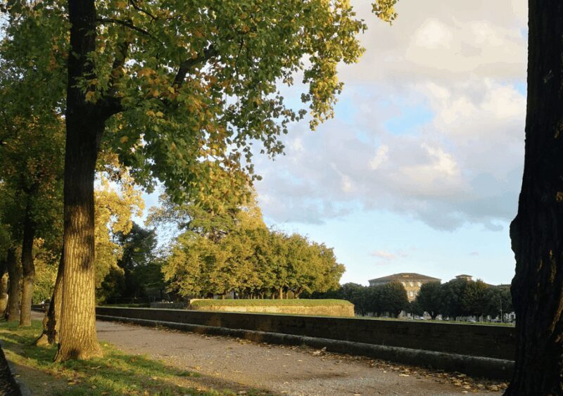 From Florence: Tour Pisa & Lucca by Minivan - FAQ