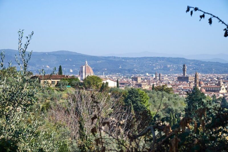 From Florence: Tuscan Hills Biking with Farm Tour and Lunch - Key Points