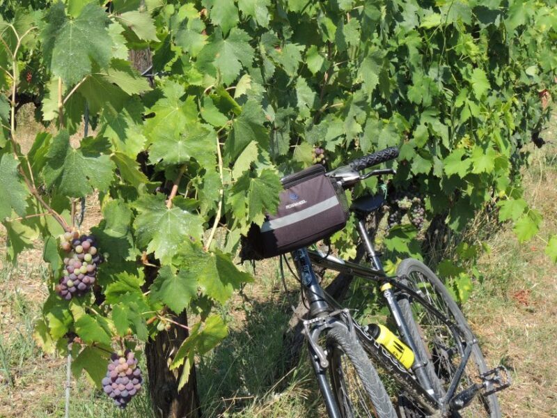 From Florence: Tuscan Hills Biking with Farm Tour and Lunch - A Relaxed Return and Final Views