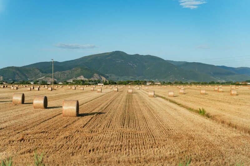 From Florence: Tuscany Day Trip with Lunch at Chianti winery - Final Thoughts