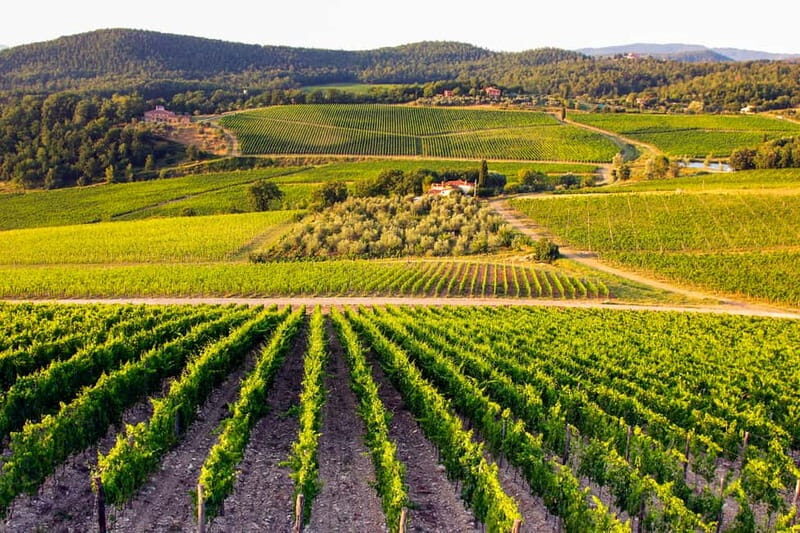 From Florence: Tuscany Wine & Food Tour with Guide - FAQs