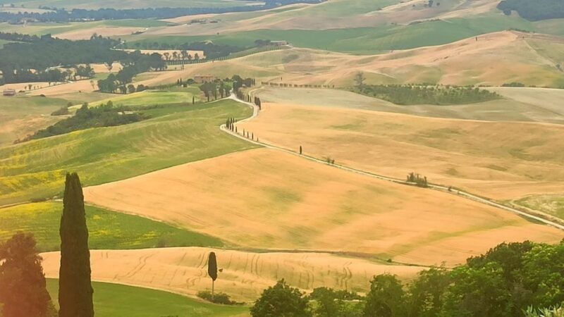 From Florence: Val d'Orcia Region Private Wine Tasting Tour - From Florence: Val dOrcia Region Private Wine Tasting Tour – A Deep Dive