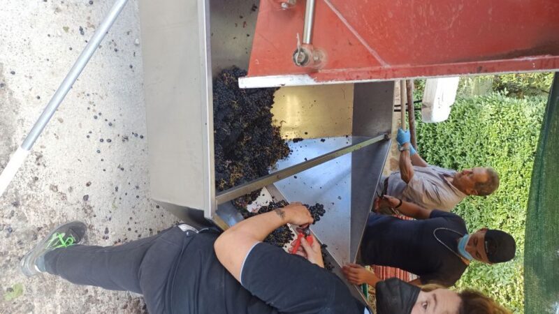 From Florence: Val d'Orcia Region Private Wine Tasting Tour - Key Points