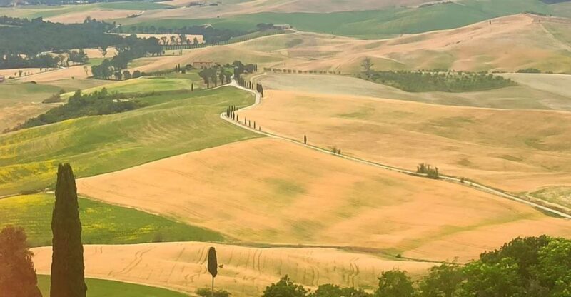 From Florence: Val d'Orcia Region Private Wine Tasting Tour - What Makes This Tour Stand Out?