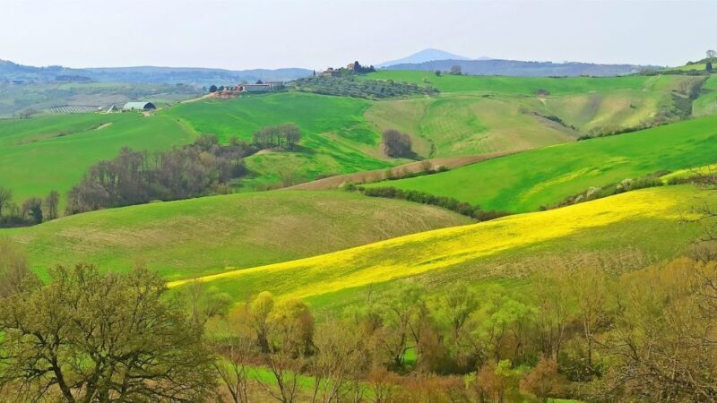 From Florence: Val d'Orcia Region Private Wine Tasting Tour - FAQ