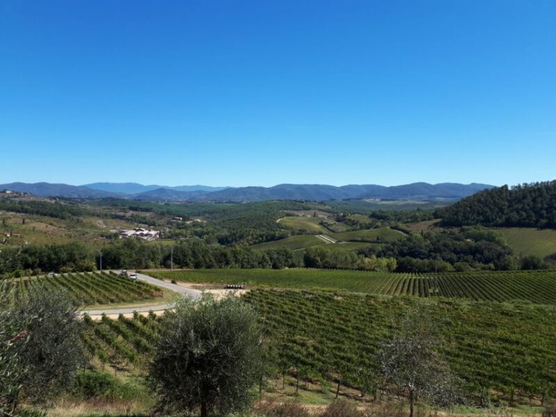 From Florence: Vintage Fiat 500 Chianti & Tuscany Wine Tour - Visiting a Family-Run Chianti Farm