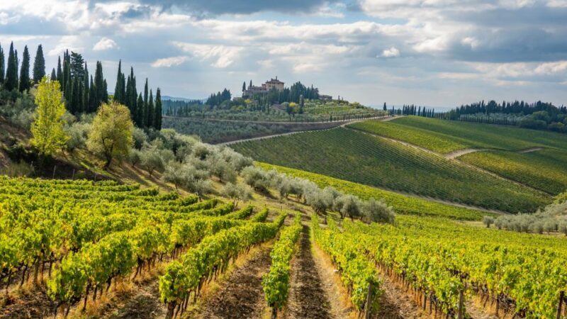 From Florence: Wine Tour in Siena and Tuscan Countryside - Exploring Siena