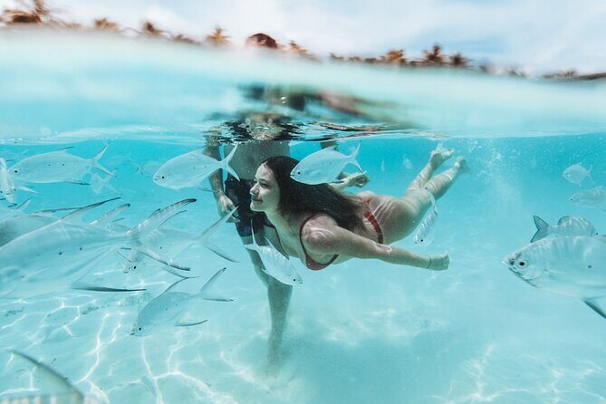 FROM FLORIDA: Bimini Bahamas Day Trip By Fast Ferry - A Closer Look at the Experience