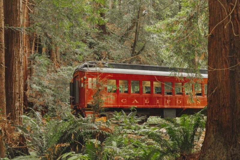 From Fort Bragg: Redwoods Train Ride and Nightclub Ticket - The Journey Begins at the Fort Bragg Skunk Train Depot