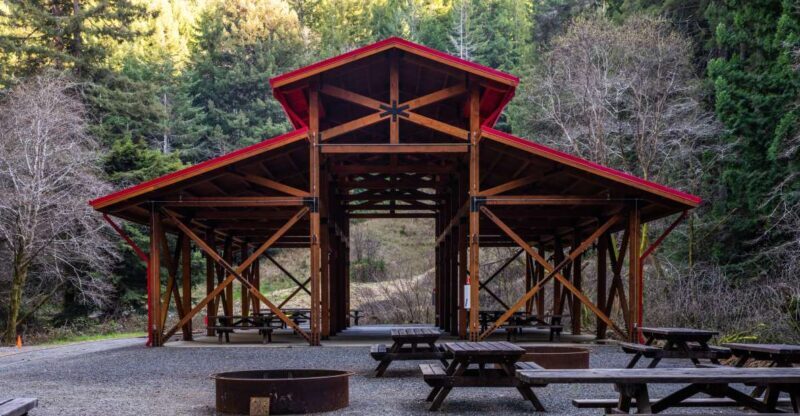 From Fort Bragg: Redwoods Train Ride and Nightclub Ticket - The Atmosphere and Entertainment