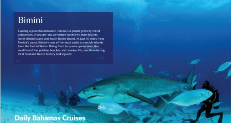 From Fort Lauderdale: Bimini Island Day Trip by Ferry - An In-Depth Look at the Experience