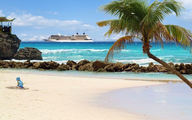 From Fort Lauderdale: Bimini Island Day Trip by Ferry - Who Is This Tour Best For?