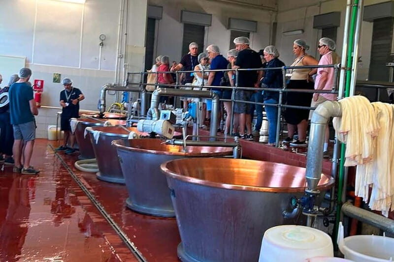 From Forte dei Marmi: Parmigiano, Prosciutto & Ferrari Tour - Who Should Consider This Tour?