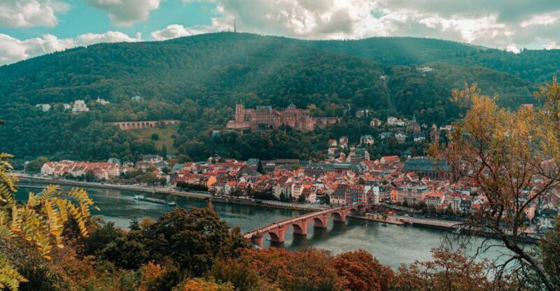 From Frankfurt: Day Tour to Heidelberg with Local Guide - Key Points