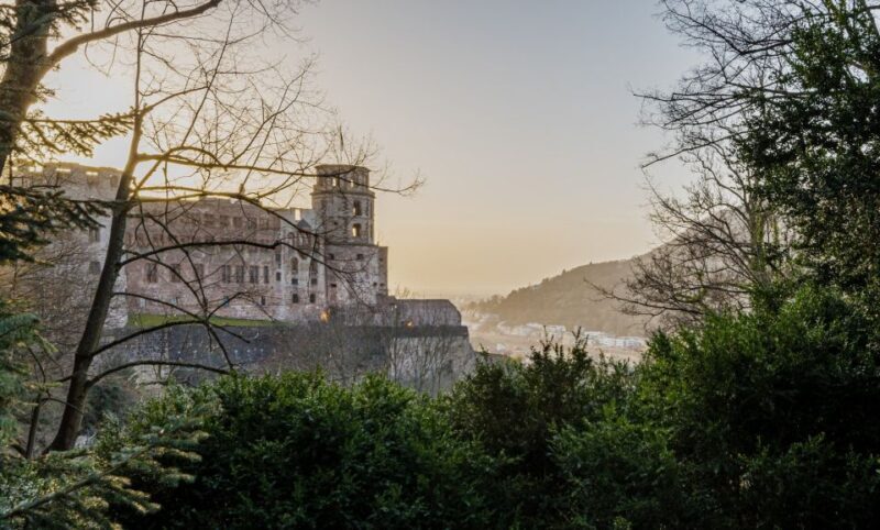 From Frankfurt: Day Tour to Heidelberg with Local Guide - An Authentic Day in Heidelberg: What to Expect