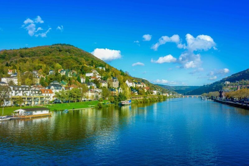 From Frankfurt: Rhine Valley Day Trip - Who Will Enjoy This Tour?