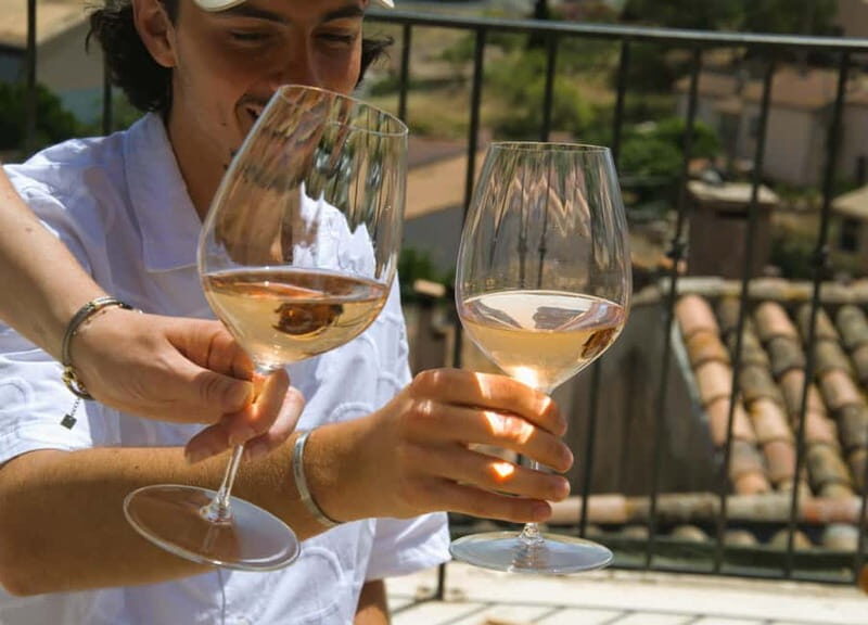From Fréjus: Van tour to the heart of the Provençal vineyards - Key Points