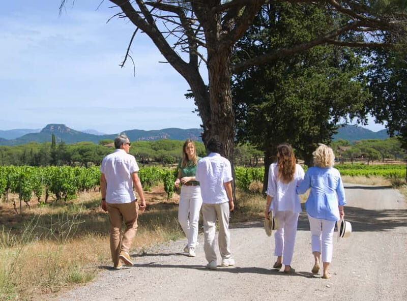 From Fréjus: Van tour to the heart of the Provençal vineyards - Final Thoughts
