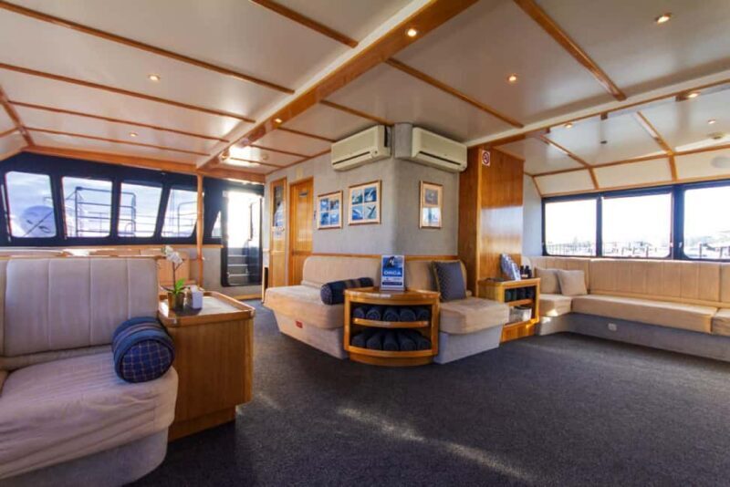 From Fremantle: 2-Hour Luxury Whale-Watching Cruise - Final Thoughts: Who Will Love This Tour?