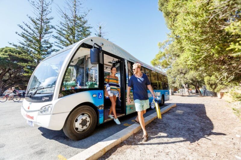 From Fremantle: Rottnest Island Ferry & Bus Day Tour - What to Expect: The Itinerary