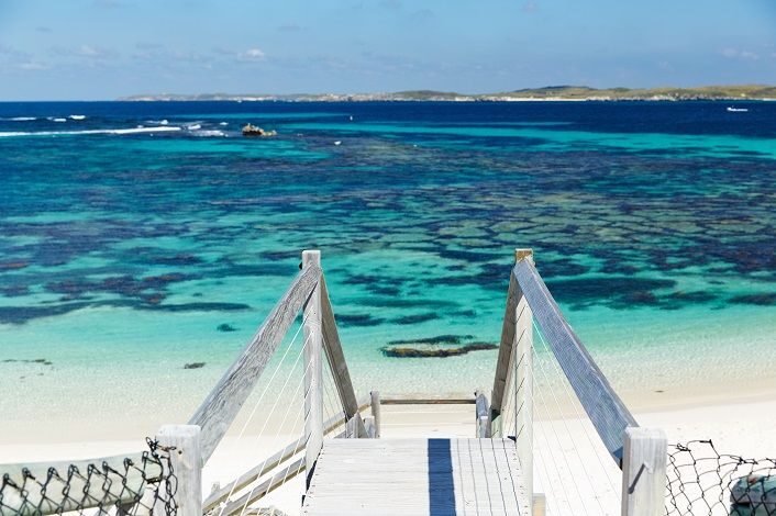 From Fremantle: Rottnest Island Ferry & Bus Day Tour - Highlights of the Tour