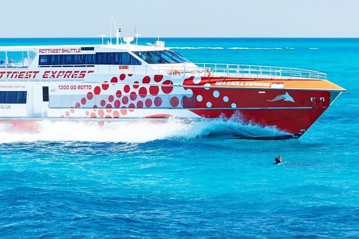 From Fremantle: Rottnest Island Ferry & Bus Day Tour - Analyzing the Value