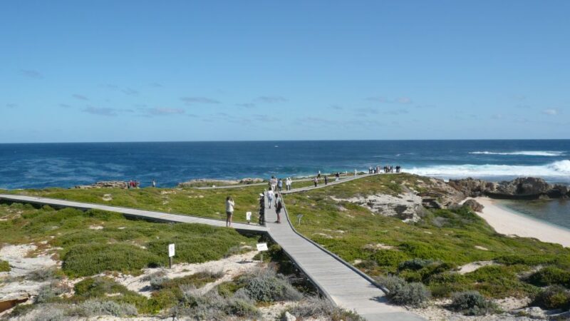 From Fremantle: Rottnest Island Ferry & Bus Day Tour - Authentic Experiences from Travelers