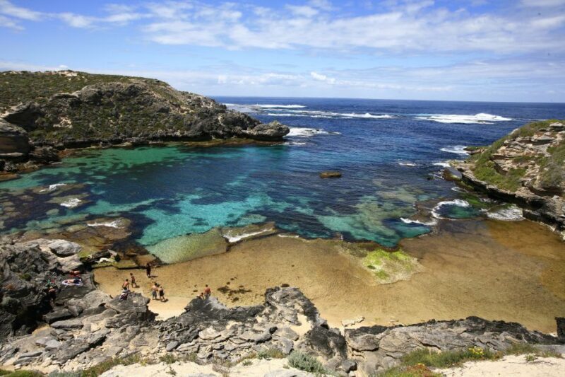 From Fremantle: Rottnest Island Ferry & Bus Day Tour - The Sum Up