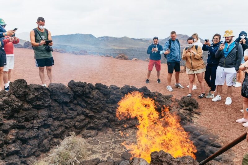 From Fuerteventura: Lanzarote Trip with Wine Tasting & Lunch - Pricing and Value Analysis