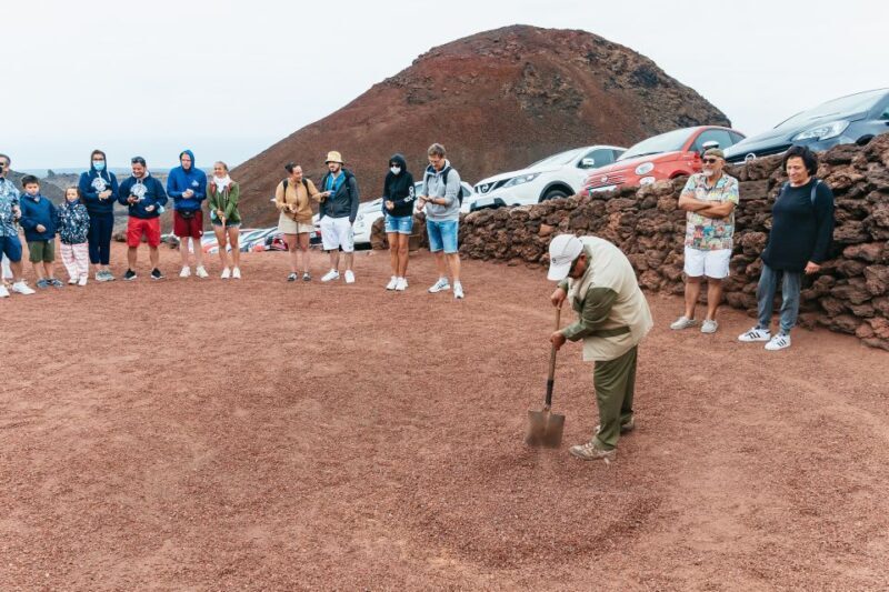From Fuerteventura: Lanzarote Trip with Wine Tasting & Lunch - The Sum Up: Is This Tour Worth It?
