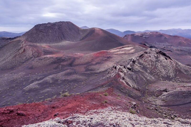 From Fuerteventura: Lanzarote Volcano and Wine Region Tour - Who Will Love This Tour?